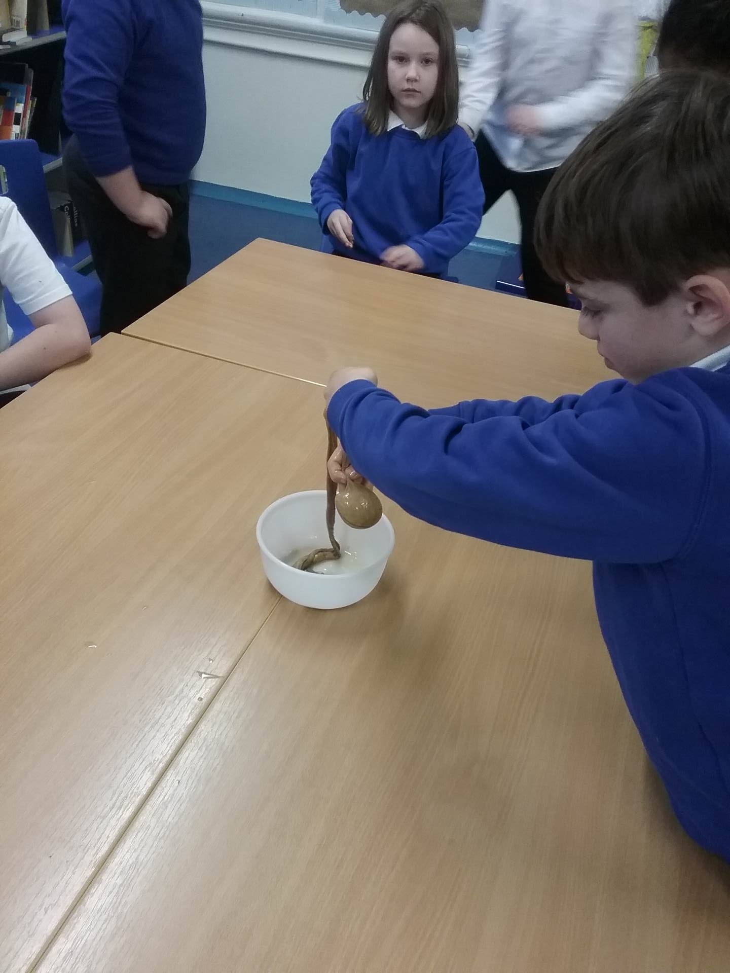 Whitehill Primary School - Year 4 Information Page