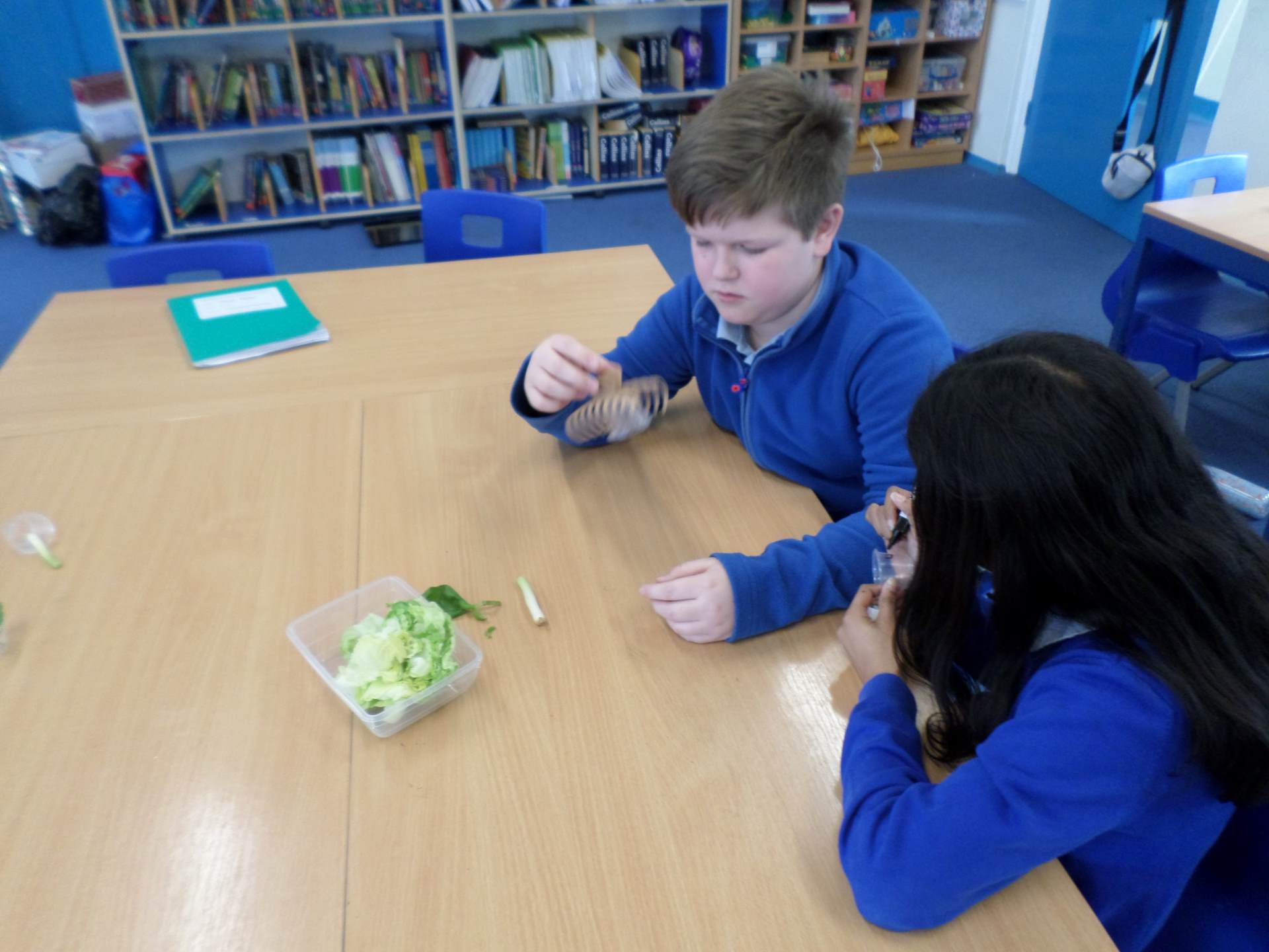 Whitehill Primary School - Year 6 Information Page